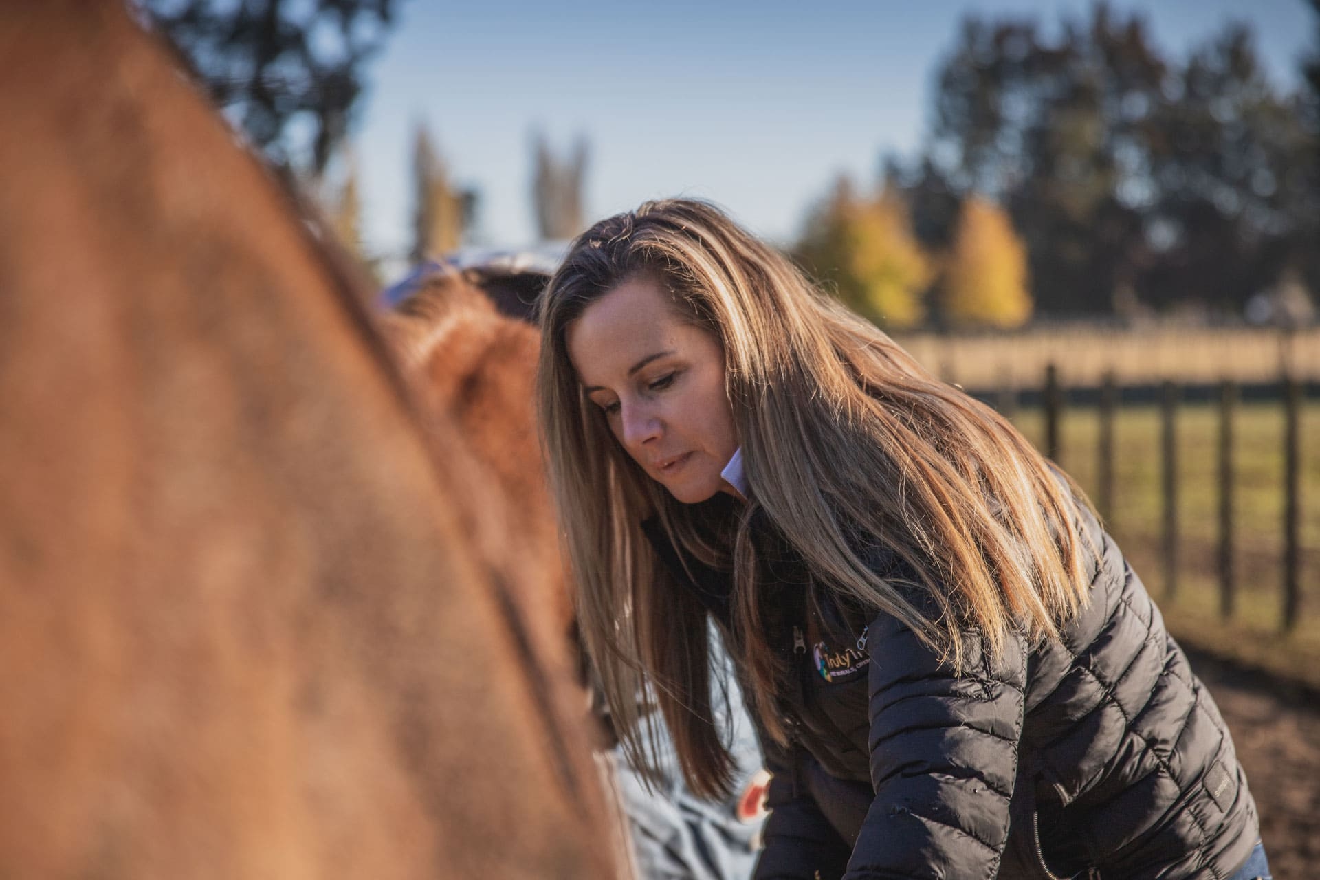 Large Animal & Horse Cremation NZ | Horse Burials | Horse Urns
