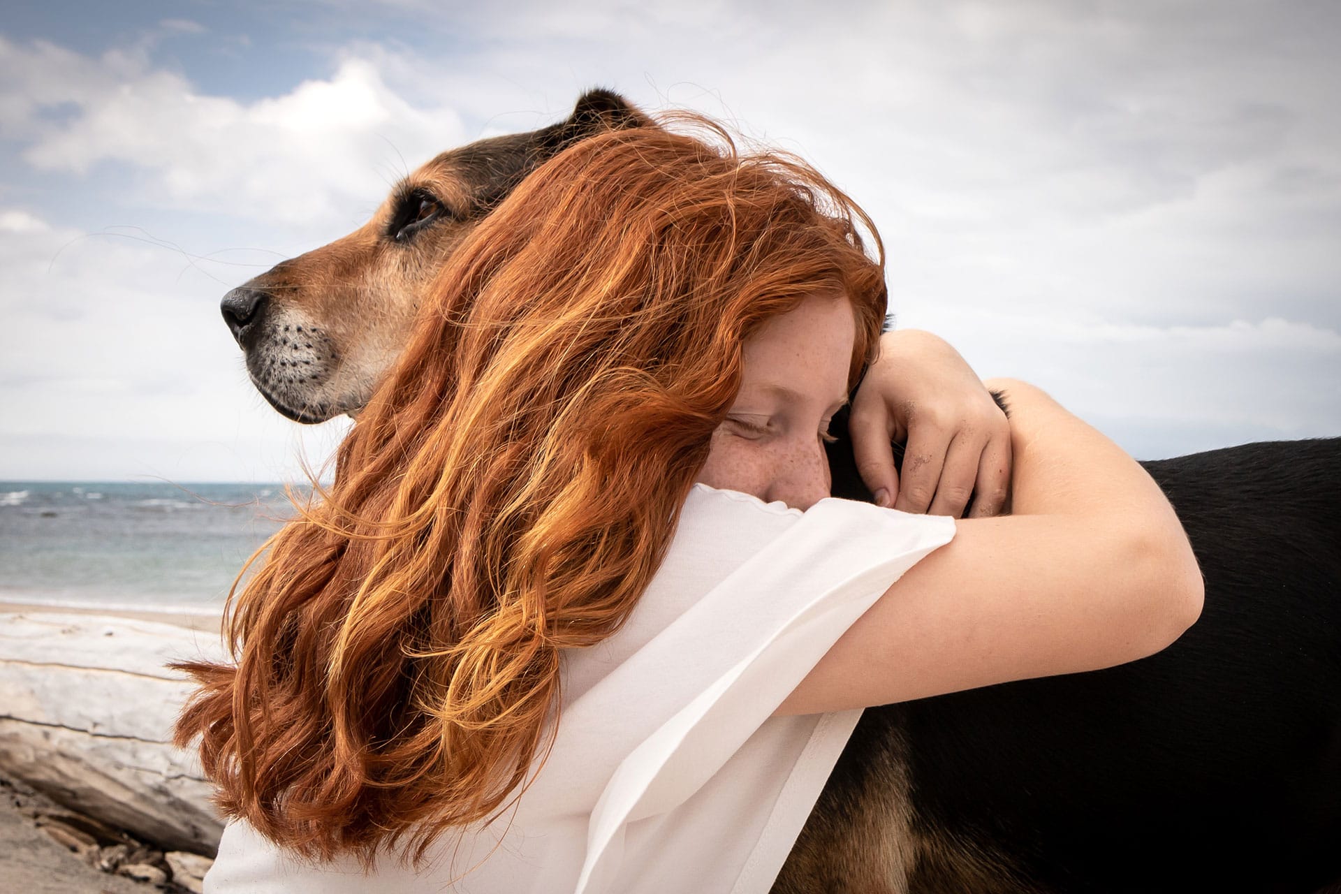 Pet Cremation Auckland // In Home Pet Euthanasia - Dogs & Cats