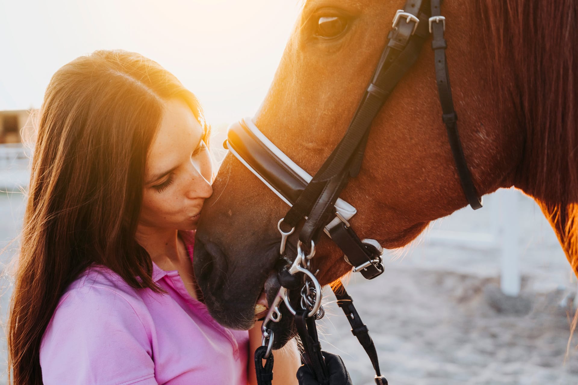 Large Animal & Horse Cremation NZ | Horse Burials | Horse Urns